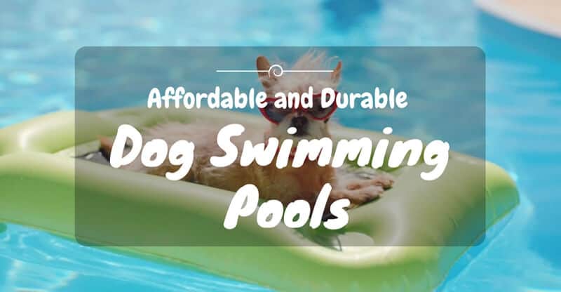 Affordable and Durable Dog Swimming Pools